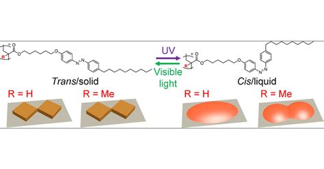 Polyacrylate Backbone Promotes Photoinduced Reversible Solid To Liquid