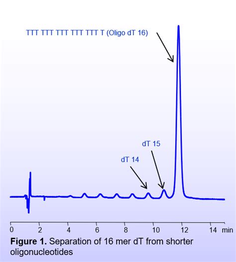 Hplc Column For Oligonucleotides At Ann Gordon Blog