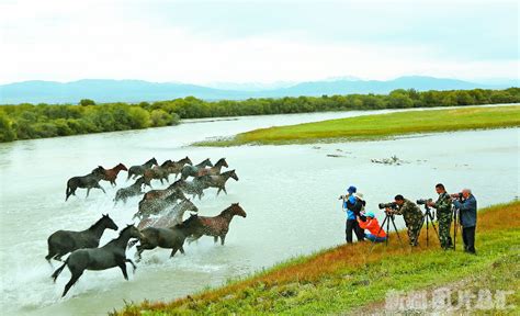 新疆是个好地方天马浴河引游人 天山网 新疆新闻门户