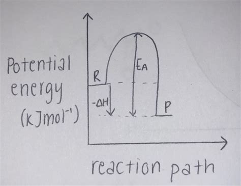 Controlling Reaction Rate Flashcards Quizlet