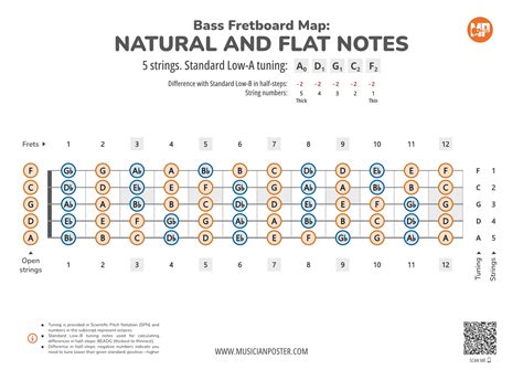 5 String Bass Neck Map With All Notes In A Standard Tuning