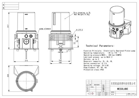 P300 2l Automatic Grease Lubrication Pump With Controller In A