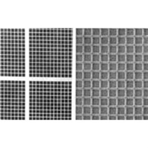 Silicon Test Specimens Proscitech