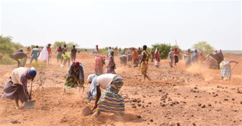 Transparency And Integrity Of The Great Green Wall