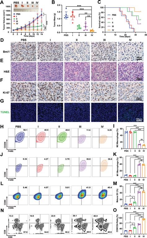 Pp‐rc‐h Inhibits Primary Hnscc Growth A Representative Image Of Scc7