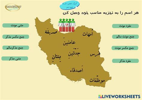 مفرد مثنی جمع Live Worksheets