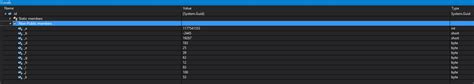 C What Specifically Are Non Public Members While Debugging In