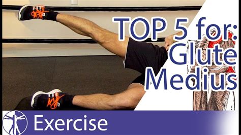 Top 5 Gluteus Medius Exercises Weightblink