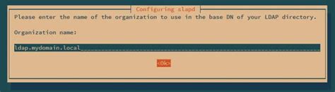 How To Install OpenLDAP Server And LDAP Account Manager On Debian 12