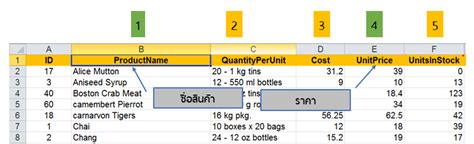 สอนการใช้ ฟังก์ชั่น Vlookup ใช้อย่างไร ใน Excel 9expert