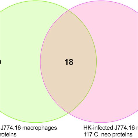 Proteomics Analysis Detected Different Cryptococcal Proteins When