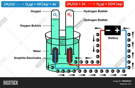 Schematic Diagram Represents Image And Photo Bigstock