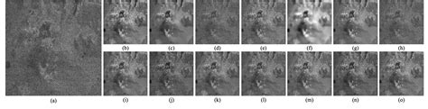 figure 1 from spatial spectral oriented triple attention network for