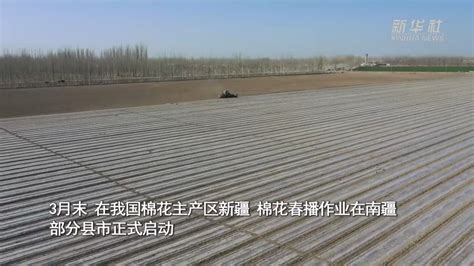 新华全媒 丨我国棉花主产区春播大幕开启 当代先锋网 政能量