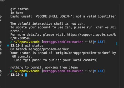 Bash Unset VSCODE SHELL LOGIN Not A Valid Identifier Issue Microsoft Vscode