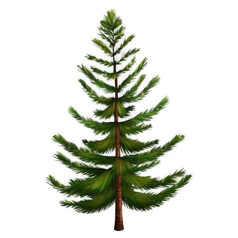 Download Realistic Pine Trees Png 29