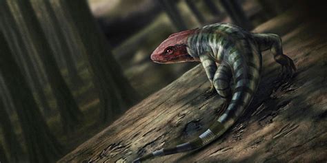 A New Discovery Is Rewriting The History Of Evolution