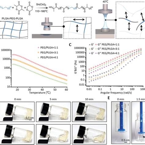 Characteristics Of The Heat‐sensitive Adhesive Polymer A Schematic