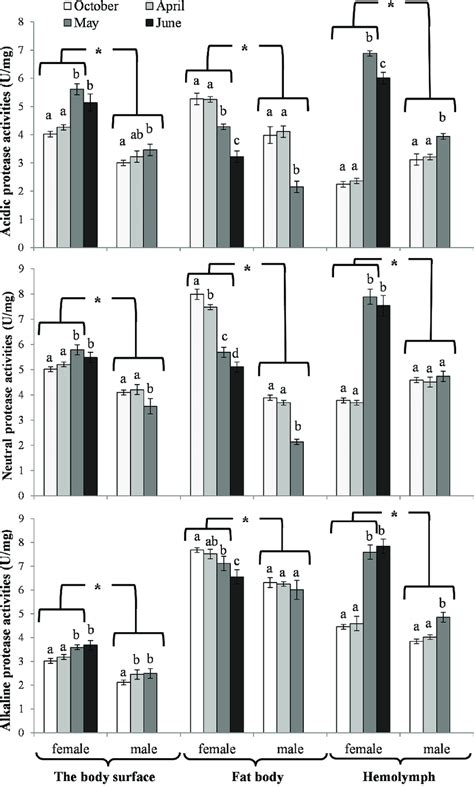 Acidic Neutral And Alkaline Protease Activities On The Cuticles And