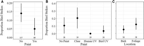 Reduced Avian Predation On An Ultraviolet Fluorescing Caterpillar Model