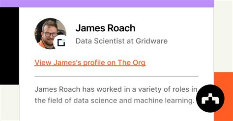James Roach Data Scientist At Gridware The Org