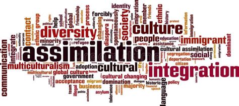 Assimilation Word Cloud Stock Vector Illustration Of Integrate 146576389