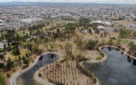 Resiente La Sequía El Parque Landeros El Heraldo De Aguascalientes Noticias Locales Y