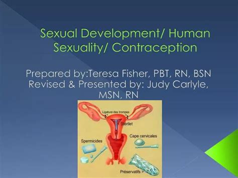 PPT Sexual Development Human Sexuality Contraception PowerPoint Presentation ID