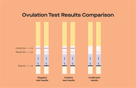Ovulation Tests For Birth Control At Virginia Morgan Blog