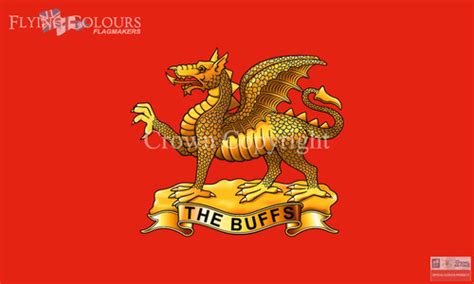 Prince Of Wales Royal Regiment The Buffs Flag Officially Licenced Mod Artwork Flags Made In