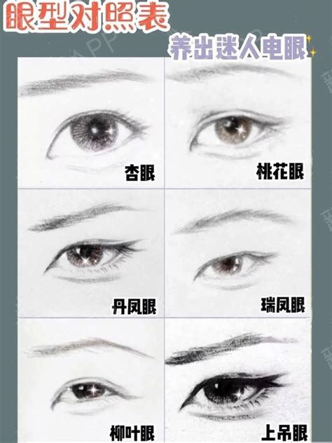 眼睛有哪几种眼型图片眼睛分为几种眼型图片 伤感说说吧