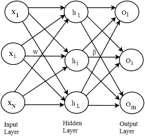 Basic Model Of Single Layer Feed Forward Network Download Scientific Diagram
