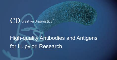 Creative Diagnostics Home