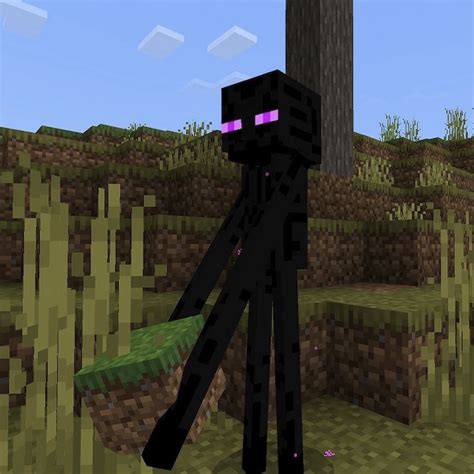 Chat With Enderman Game Non Human