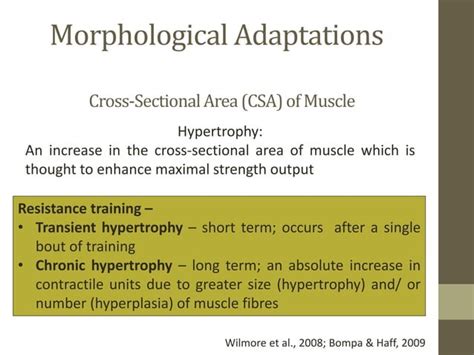 Neuromuscular Adaptations To Sports Training Pptx Brain And Nervous System Disorders