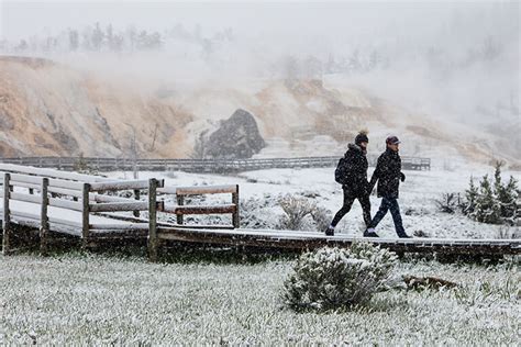 Yellowstone National Park Spring Jobs Apply