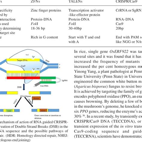 Pdf Rna Guided Genome Editing Tool Crispr Cas9 Its Applications And