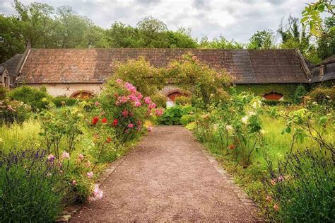 8 Flowering Shrubs That Will Make Your Landscape Pop