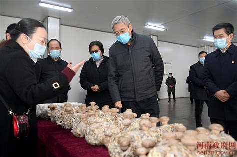 尹弘赴卢氏县多地调研 与群众共话脱贫攻坚同乡村振兴有效衔接新闻动态豫王集团