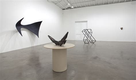 Liz Larner Exhibitions Regen Projects