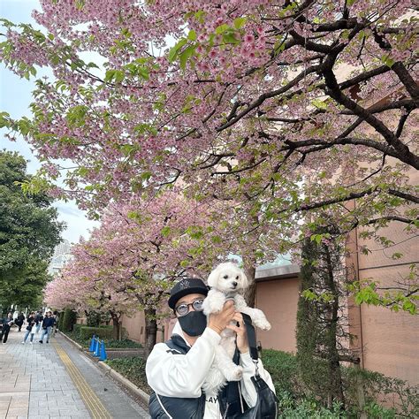 黒田 アーサー Kurodaarthur • Instagram Photos And Videos