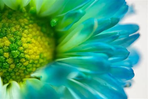 Breast Cancer Recurrence And Ctdna Insights By Dr Rosen Lll