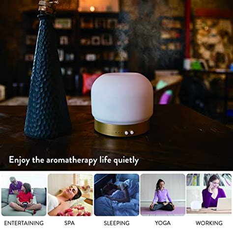 Lab Co Diffuser At Andrew Kramer Blog