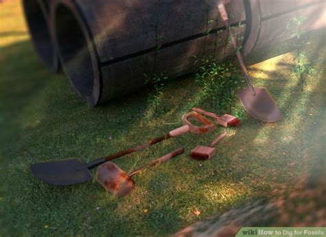 How To Dig For Fossils 9 Steps With Pictures Wikihow