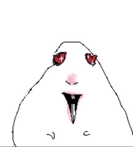 Hamster Reaction Pic