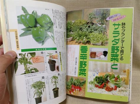 Yahoo オークション 【本】見るだけでわかる失敗しない野菜作り入門
