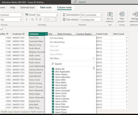 bug data filter doesn t show up in data view microsoft fabric