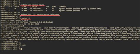 Getting Started With Podman Manage Images Containers And Volumes