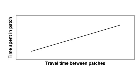 The Marginal Value Theorem It States That When An Animal Is Optimally