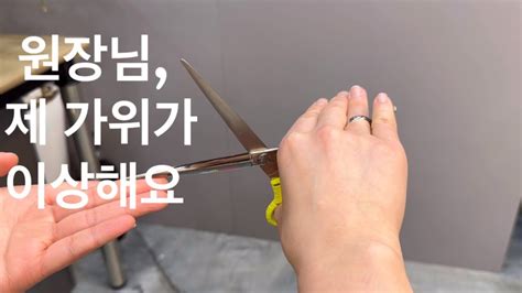 커트 입문 가위 잡는법 변형 가위질 하는법 Youtube